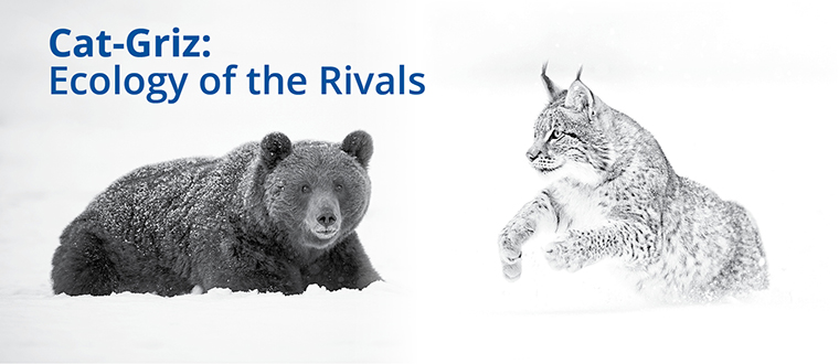 Cat - Griz, Ecology of the Riv - 22FOLVOICE2