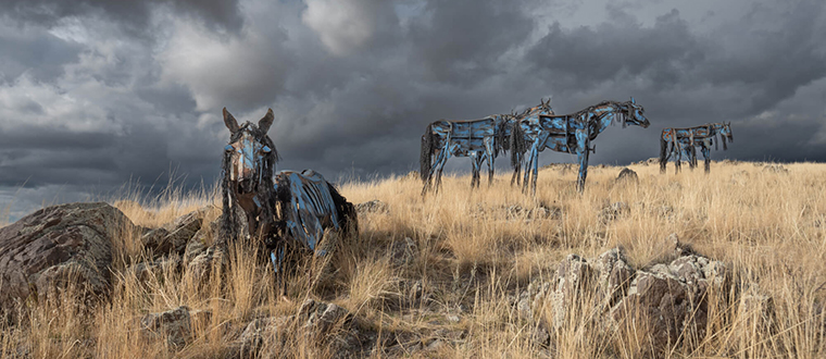 Jim Dolan's Art Studio - 25FOLHDOLAN